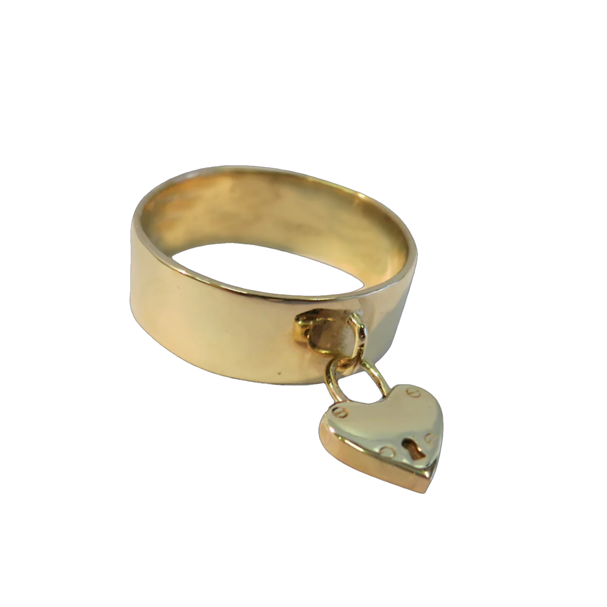 Lock My Heart Ring - Solid 9K Gold | Serpent & the Swan