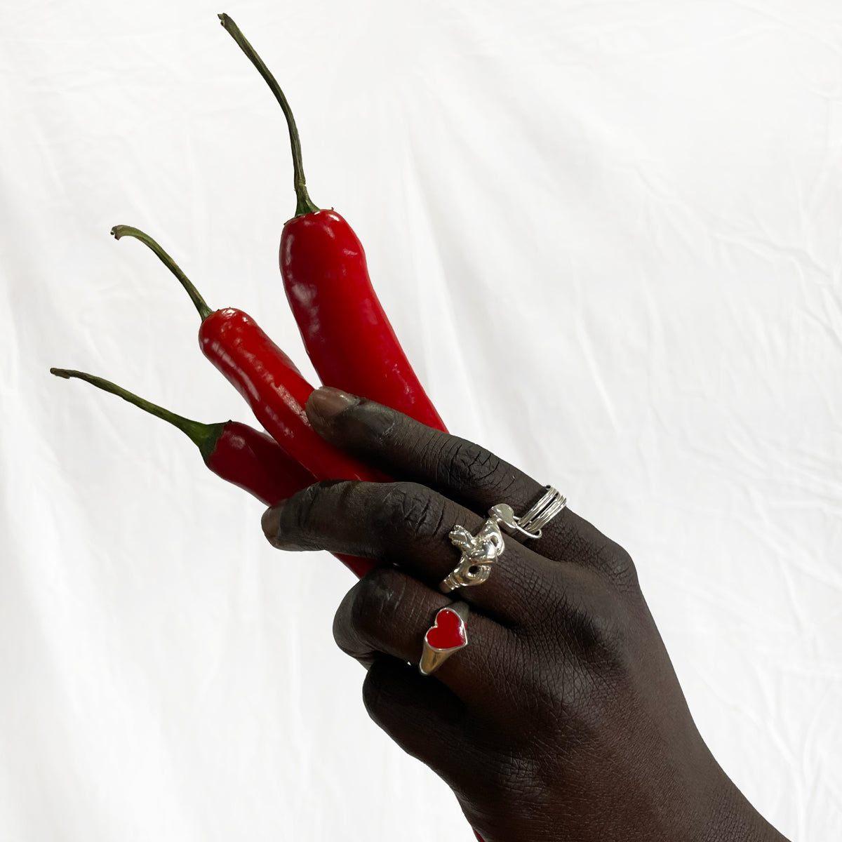 Bleeding Heart Ring Silver - Serpent & the Swan