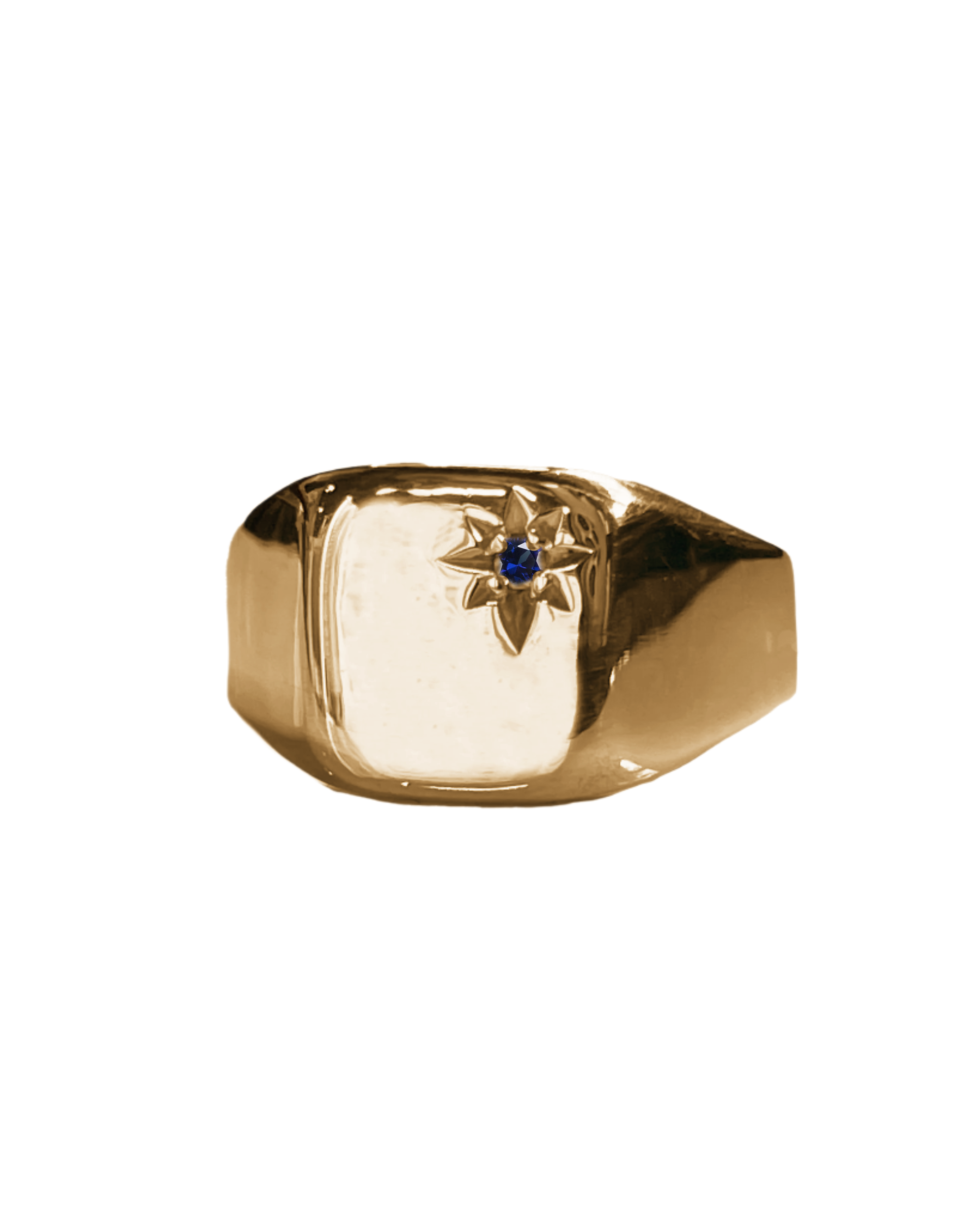 Birthstone Signet Ring - Solid 9K Gold | Serpent & the Swan
