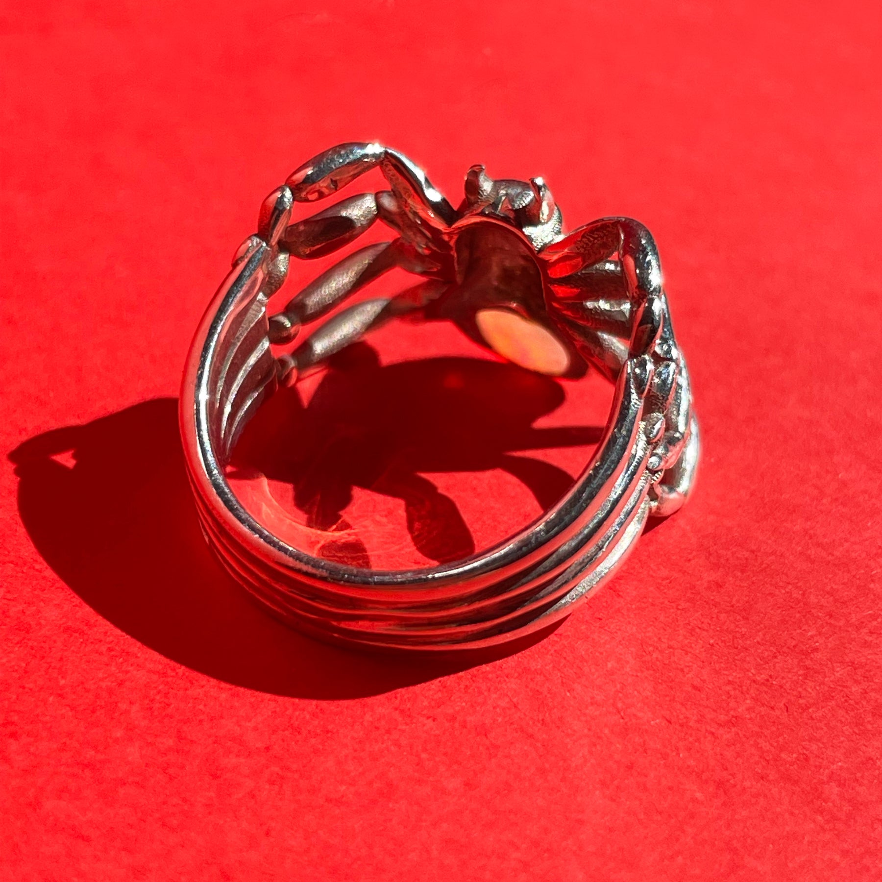 Webs and Fangs - Serpent & the Swan