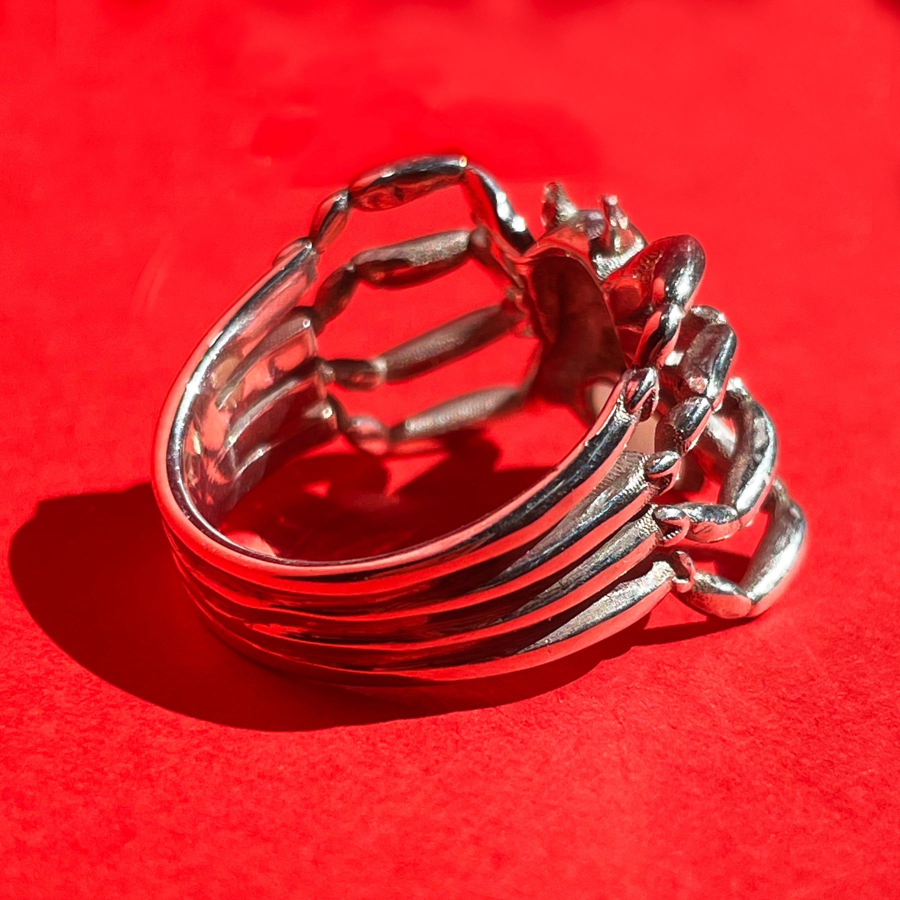 Webs and Fangs - Serpent & the Swan