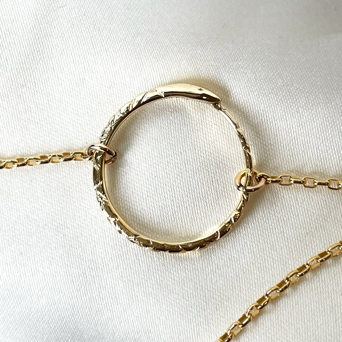 Ouroboros Necklace - Serpent & the Swan