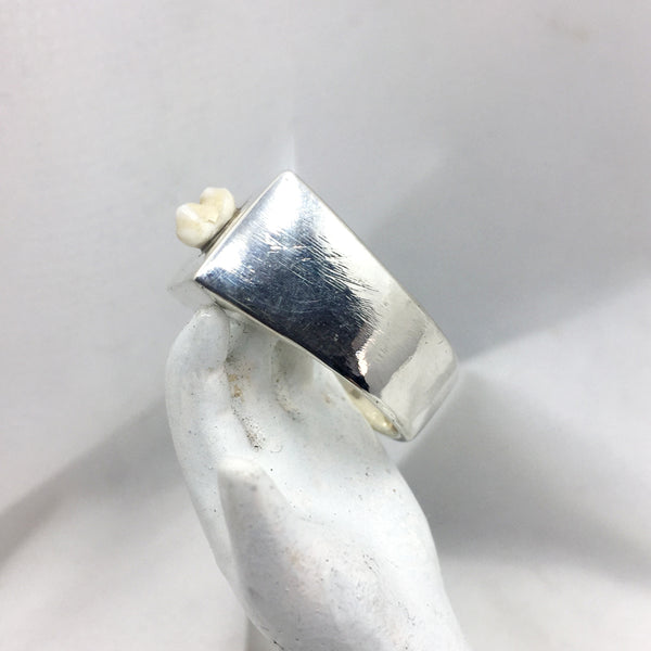 Tooth Signet Ring - Custom made - Serpent & the Swan