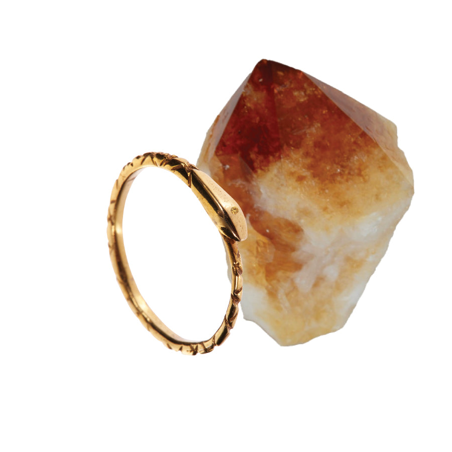 Serpents - Serpent & the Swan